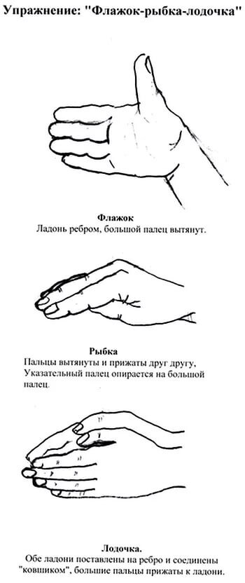 Кинезиологические упражнения. Блог Лого-Эксперт